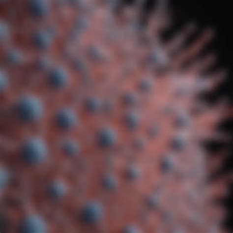 Understanding Factor Viii Ranges And Implications