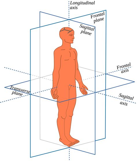 IT Band Pain And Exercises To Help Core Exercise Solutions