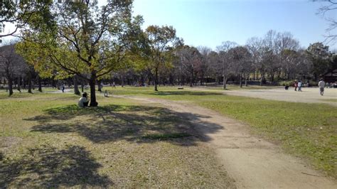 鶴見緑地公園で鬼ごっこ しぶちーわくわく探検隊ドキドキ つくり隊憩い