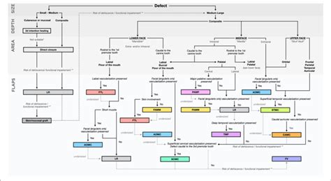 Decisional Algorithm Eg Risk Of Periorbicular Download
