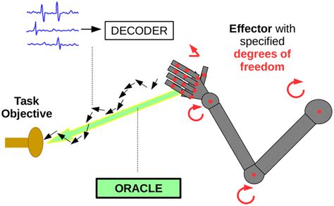 A Bci Has An Effector Such As A Robotic Arm With Predefined Degrees