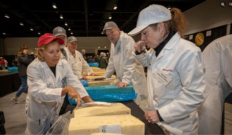 Take Five With Tammy Wisconsin Cheeseman Blog