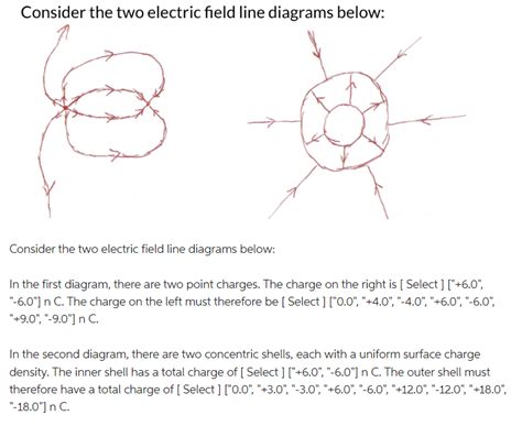 Consider The Two Electric Field Line Diagrams In The Figure