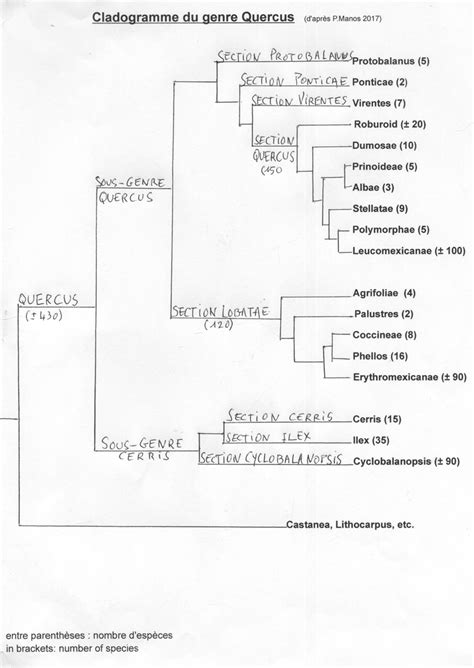 Classification