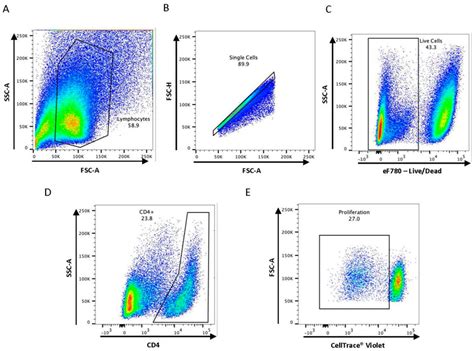 Gating Strategy Used For Flow Cytometry Analysis Representative Dot