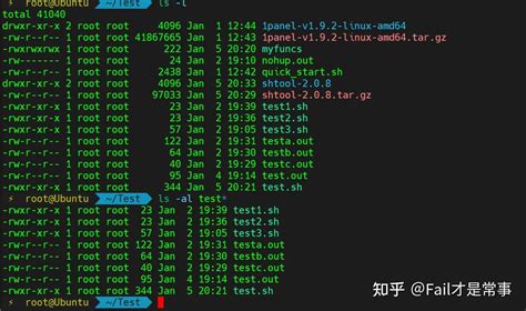 Shell Linux Shell