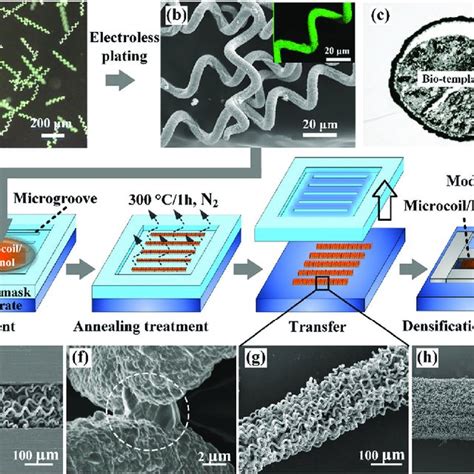 Electrically Conductive Performance Of The Stretchable Conductors