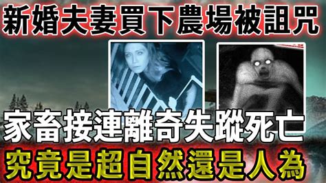 新婚夫妻剛買下農場就被詛咒，家畜接連離奇死亡，究竟是超自然還是人為？ Youtube