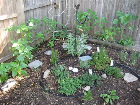 Grow Peace And Dance In The Garden July 2008