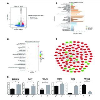 The Outcome Of Bioinformatics Analyses Of Rna Sequencing Data Of