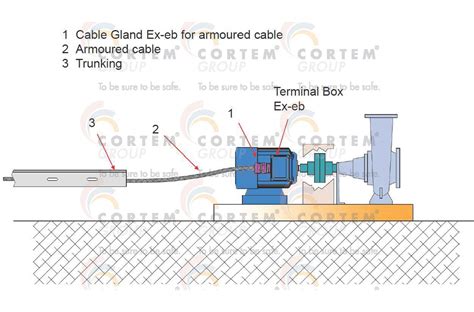 Typical Connections Of Ex Eb Junction Boxes Into Ex Db And Ex Eb Motors Cortem S P A