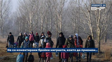 Въздушен и морски Шенген срещу бърза обработка на молби за убежище