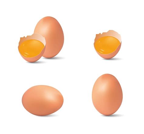 흰색 배경 벡터 일러스트 레이 션에 고립 된 닭고기 계란 반 깨진 계란과 노른자 프리미엄 벡터