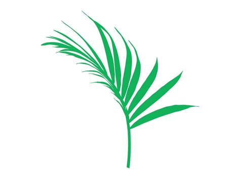 Coconut Palm Leaves Background Illustration 43194773 Vector Art At Vecteezy