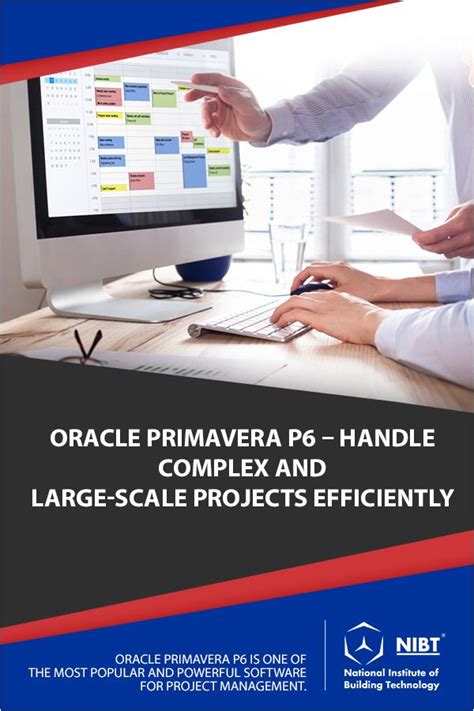 Oracle Primavera P6 Handle Complex Projects Efficiently