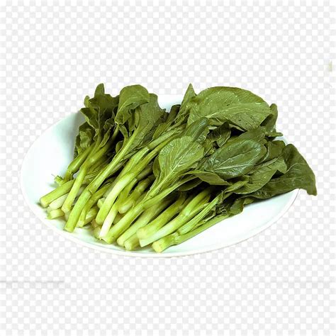 Png Png