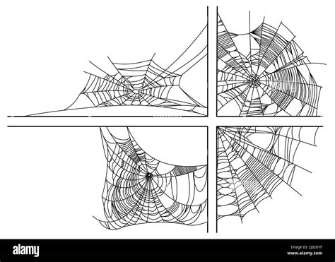 Spider Web Corners Isolated On White Background Scary Cobweb Outline Decor Vector Design
