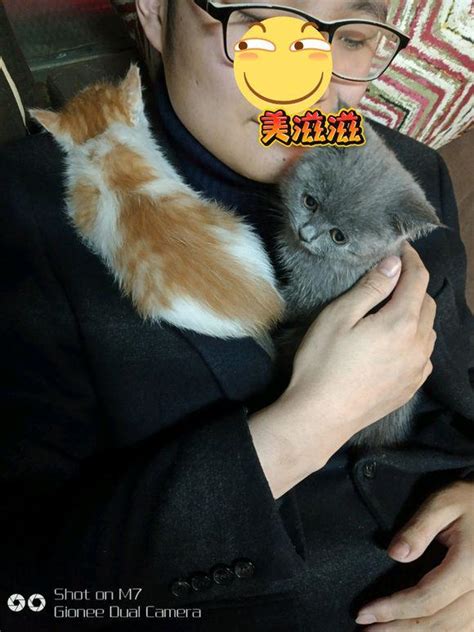 女子下樓時遇到一隻流浪橘貓，猶豫收養時，貓咪的反應讓人樂翻！ 每日頭條