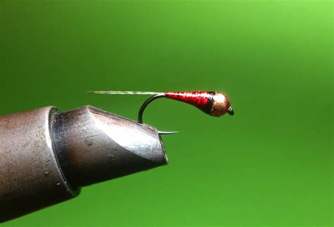 Pellet Spanish Nymphs