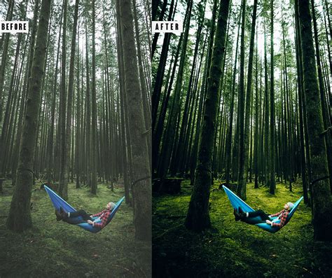 Forest Photoshop Action Lightrom Presets Add Ons GraphicRiver