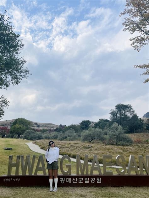 황매산 군립공원 가을 즐기기 극치 합천 산청 황매산 억새밭 억새천국 네이버 블로그