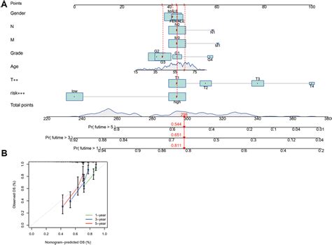 Ferroptosis Related Long Non Coding Rna Signature Predicts The