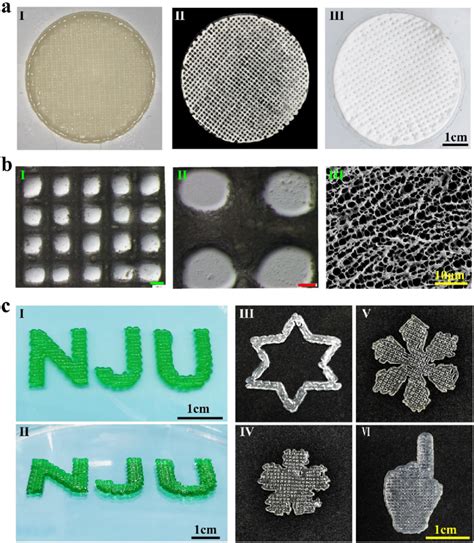 Macro And Micro Views Of The 3d Printed Scaffolds 3d Printed