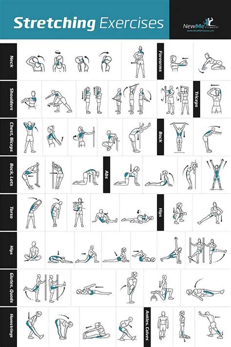 Printable Curl Bar Exercises Chart Printable Word Searches