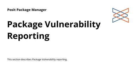Package Vulnerability Reporting Posit Package Manager