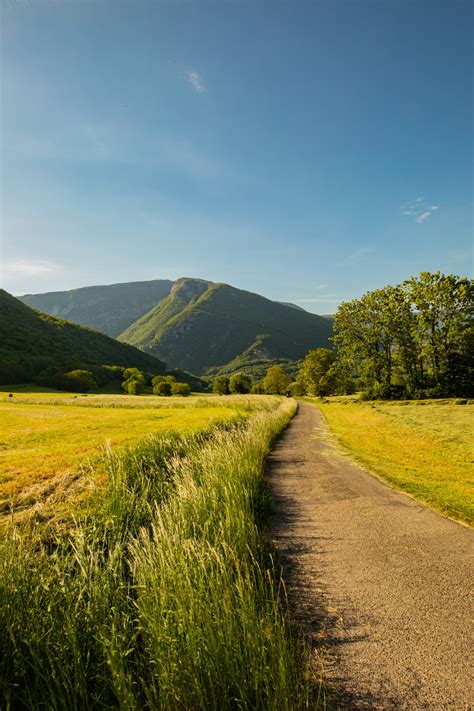 Landscape Forest Mountains Road Plants Nature Greenery Trees