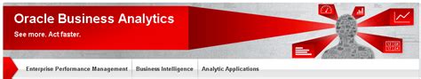 Oracle Business Analytics An Analysis The Siebel Hub