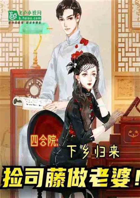 四合院：白铃拒绝圆房？娶妻司藤浪子的老公小说全本小说下载飞卢小说网