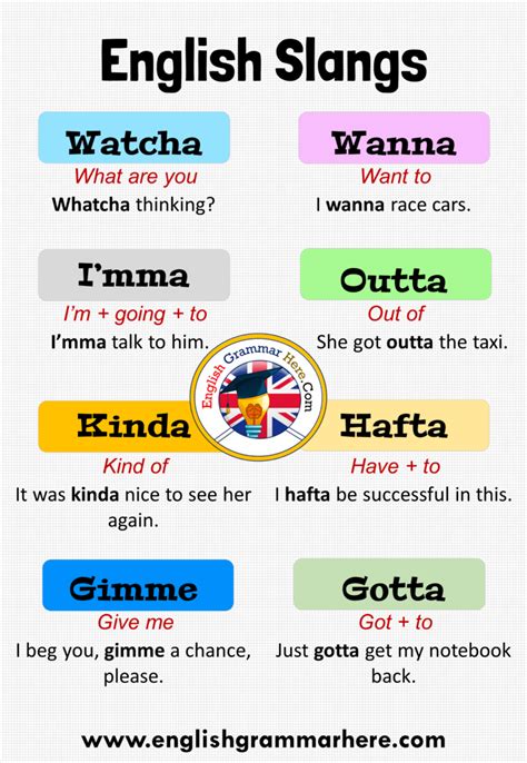 Words That Sound Like Cowabunga All About Cow Photos