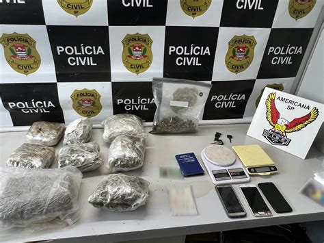Dise Apreende 5 Kg De Drogas Em Sumaré E Pé De Maconha Em Estufa De