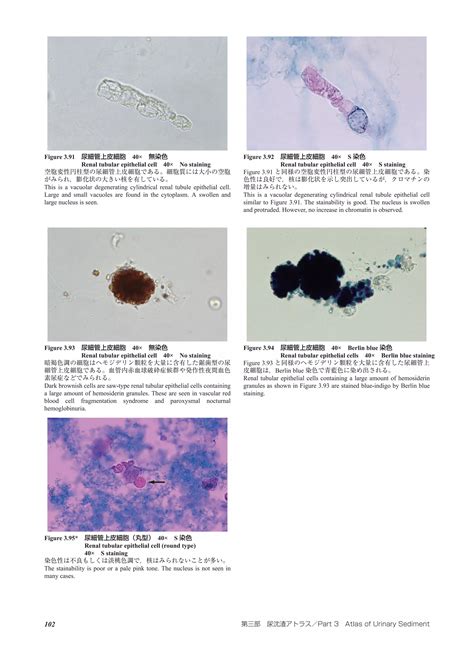 Atlas Of Urinarysediment Pdf