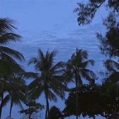 抖音风景图片头像 带来好运的抖音头像花 抖音最火的风景图片 大山谷图库