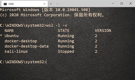 📃 Wsl、docker、hyper V、vmware共存方案 《使用windows子系统作为生产力工具》 极客文档