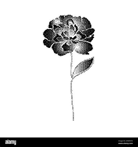 Peony Flower With Bitmap Effect Stock Vector Image Art Alamy