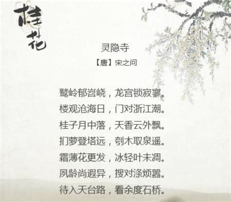古代詩人筆下的桂花美的讓人無法呼吸 每日頭條