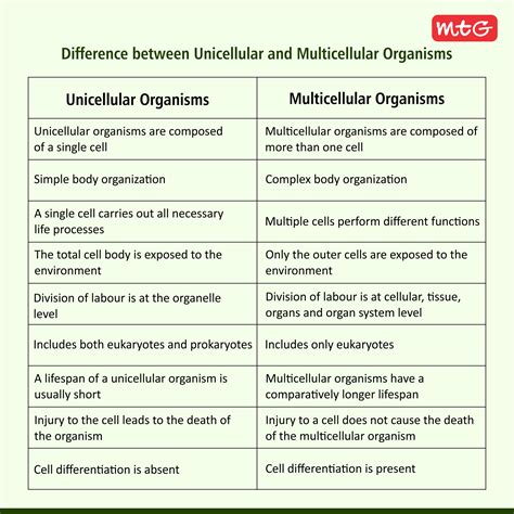 The Difference Between Unicellular Mtg Learning Media