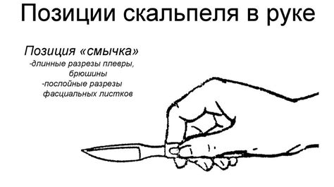 Инструменты в хирургии Классификация Правила использования хирургического инструментария