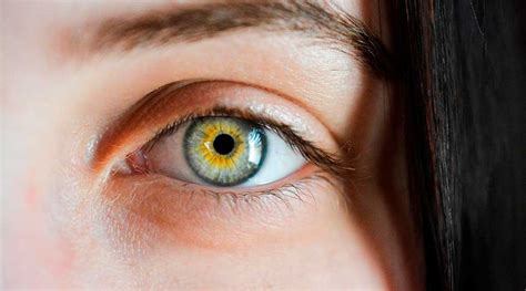 O Que É Iridologia Por Elsa Kalder
