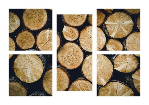 Купить картину Бревна Из пяти частей в Киеве доступная цена в Украине фото описание