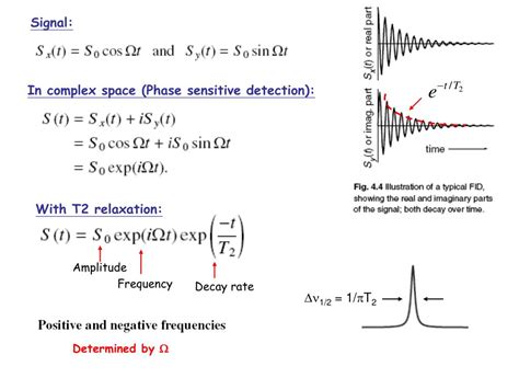 Ppt Chapter 4 Fourier Transformation And Data Processing Powerpoint
