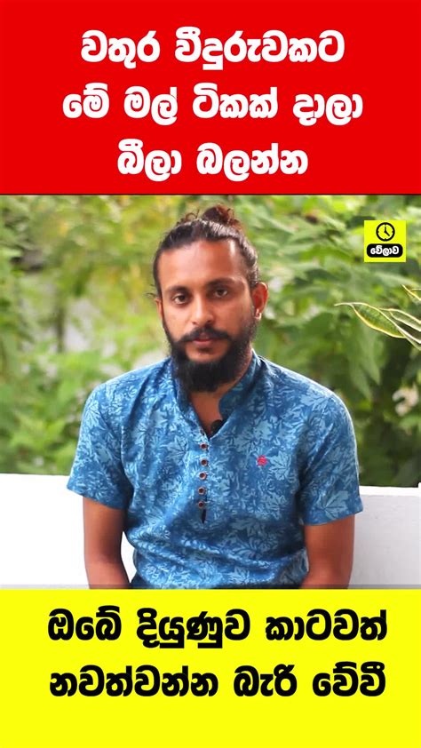 වතුර වීදුරුවකට මේ මල් 3ක් දාලා බොන්න ඔබේ දියුණුව කාටවත් නවත්වන්න බැරි