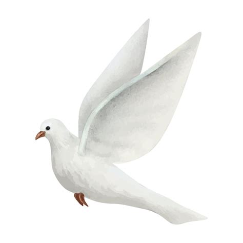 Pomba Voadora Branca Da Paz Ilustração De Aquarela Pássaro Pombo