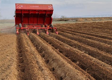 Potatoes News Ukrainian On Linkedin Посадка вибір “окна” ризики та