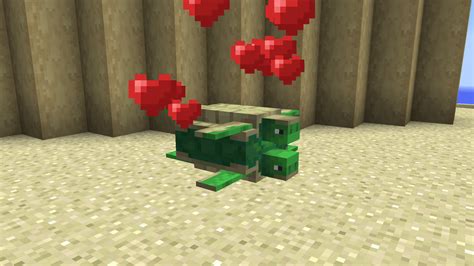Turtle Love Rminecraft