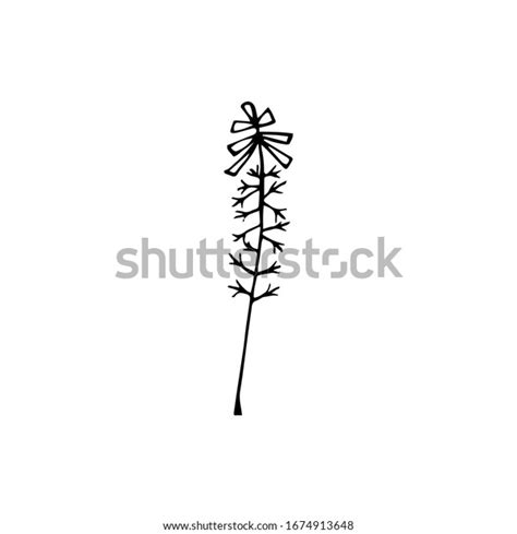 Mignonette Over 49 Royalty Free Licensable Stock Vectors And Vector Art