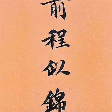 岁末将至，敬颂冬绥，愿所求皆所愿，所行化坦途，多喜乐，长安宁